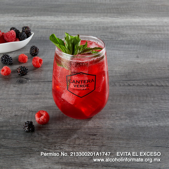 Cantera Verde: El gin perfecto para celebrar el Día de Muertos ...