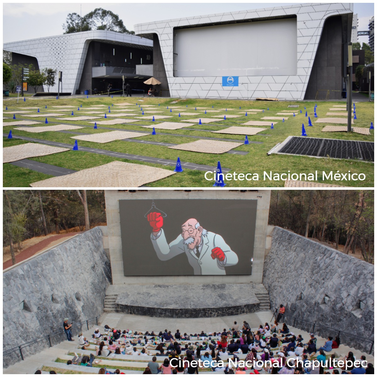 ¿Dónde hay cines al aire libre en CDMX? Lista de lugares - Urbanda Magazine